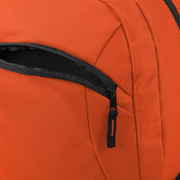 Miami Dolphins NFL Action Backpack